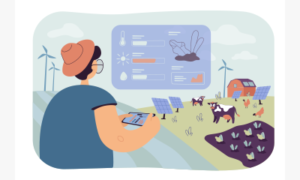 Smart farming solutions and transforming cultivation according to the ...