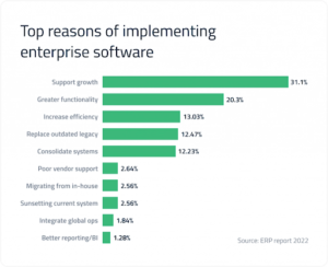 How enterprise software development improves your business productivity